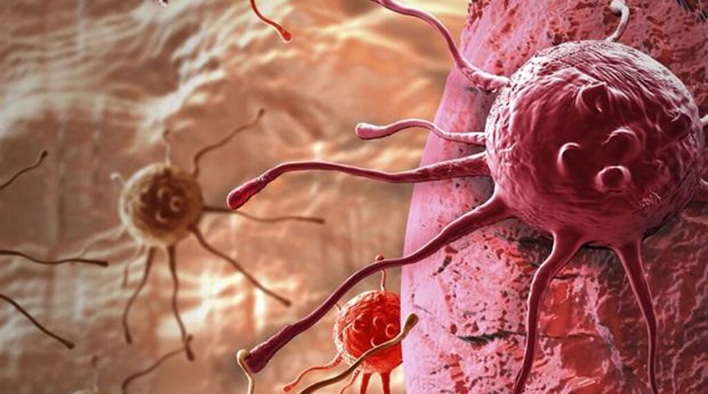 Cell’s anti-aging structures can set the damage threshold a cancer cell ...