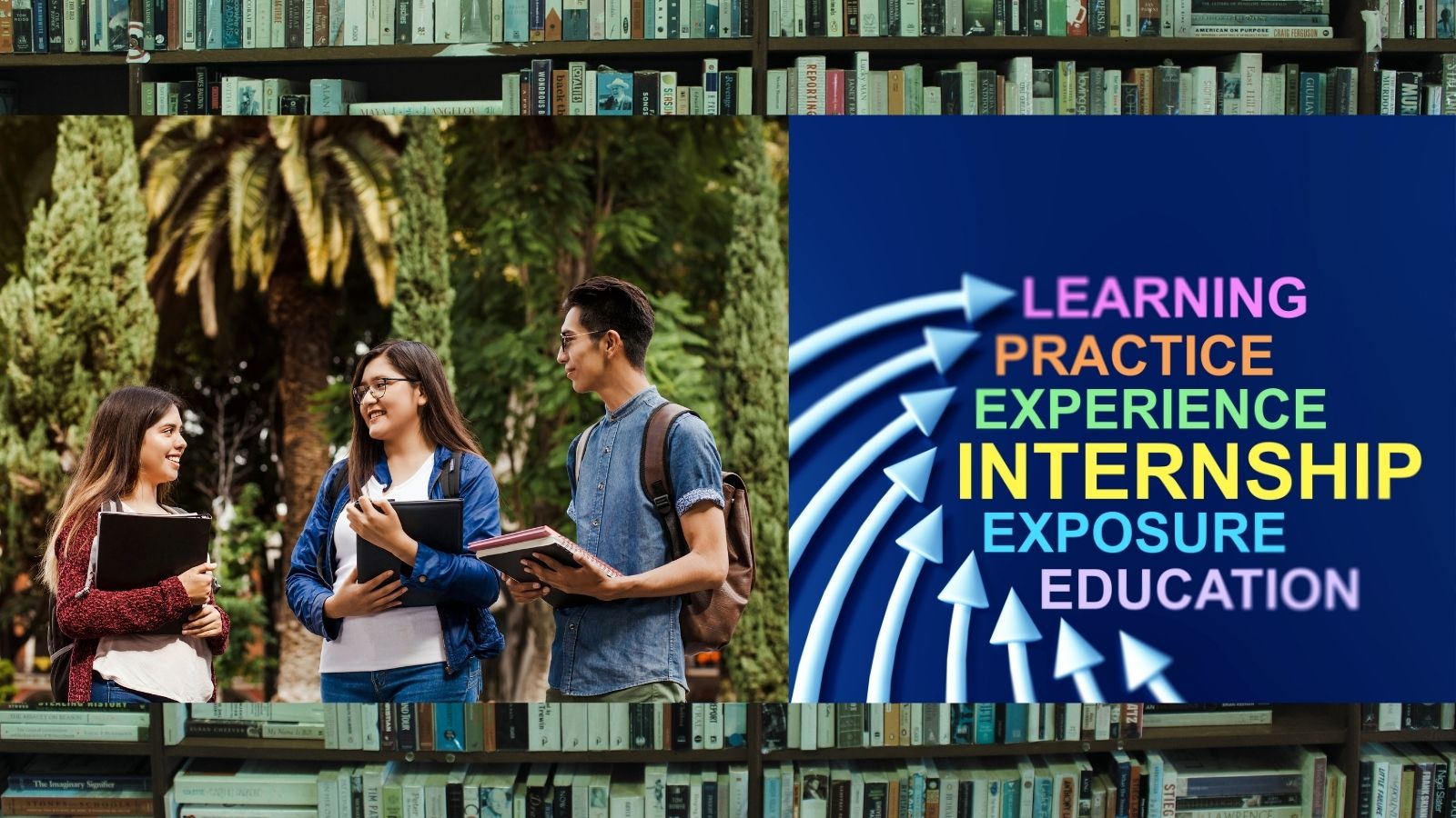 HSAC Internship - Healthspan Action