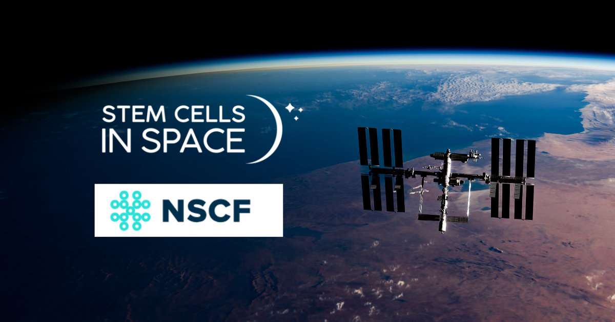 NASA awards National Stem Cell Foundation $3.1 million to continue studying the effects of ...